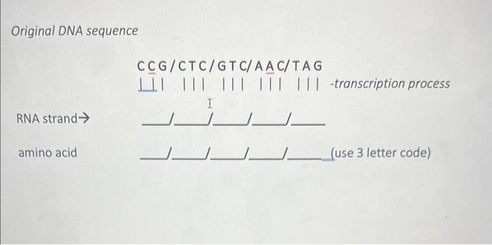Solved Original DNA sequence CCG / CT C/ G TC/AAC/TAG L | || | Chegg.com
