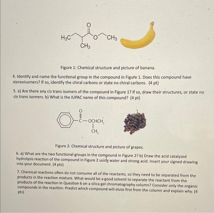 Solved H3C CH3 CH3 Figure 1: Chemical structure and picture | Chegg.com