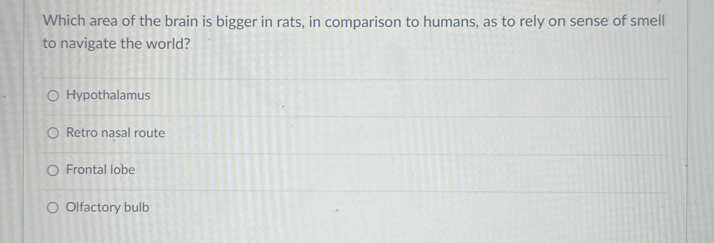 Solved Which area of the brain is bigger in rats, in | Chegg.com