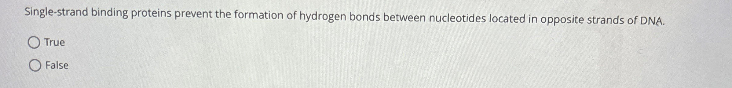 Solved Single-strand binding proteins prevent the formation | Chegg.com