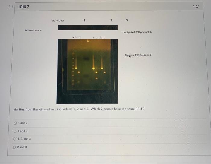 Solved ube Maps Translate NEWS A HOTWORK SU the molecular | Chegg.com