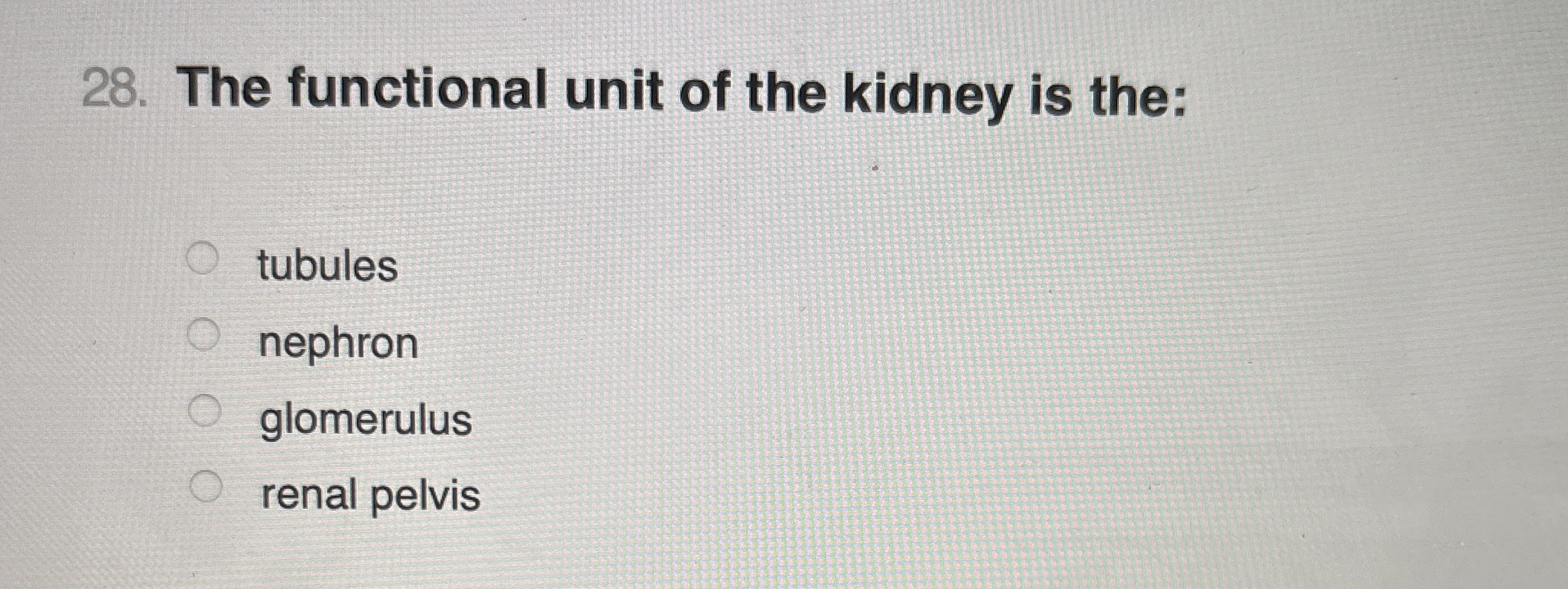 Solved The functional unit of the kidney is | Chegg.com
