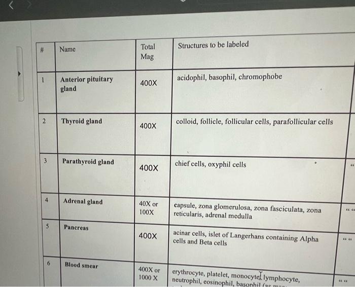 Histology drawings list andName of the Drawing: | Chegg.com