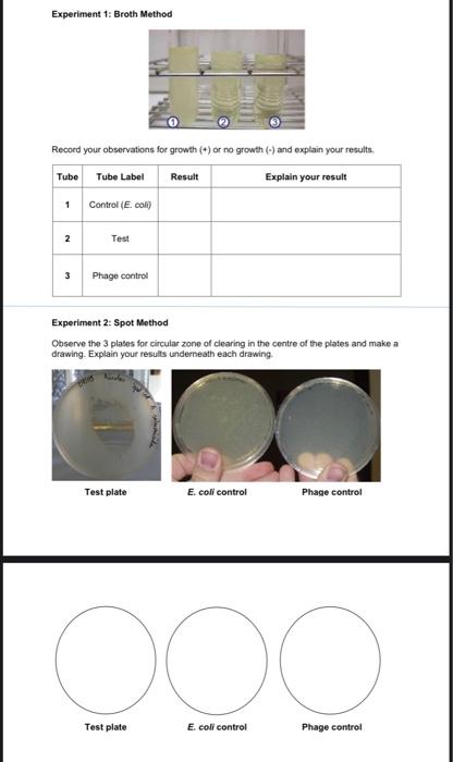 Solved Experiment 1: Broth Method Record your observations | Chegg.com