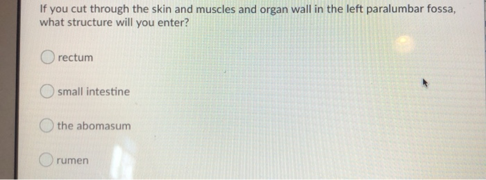 Solved If you cut through the skin and muscles and organ | Chegg.com