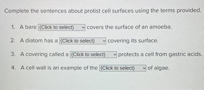 Solved What domain do protists belong to? Multiple Choice | Chegg.com
