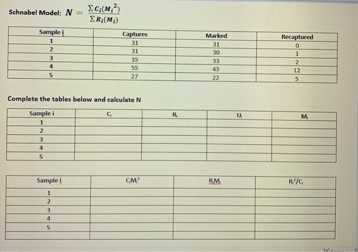 Solved Schnabel Model: N Ec;(M3) ER (M) Sample i 1 2 3 4 5 | Chegg.com