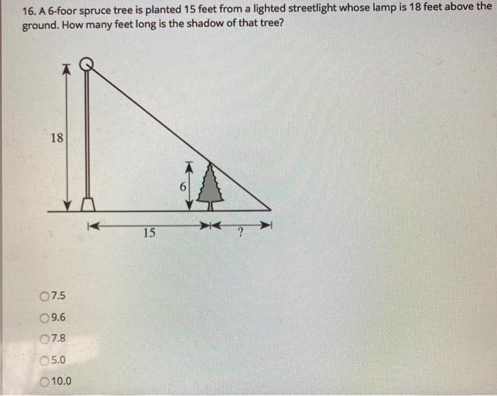 Solved 16. A 6-foor spruce tree is planted 15 feet from a | Chegg.com