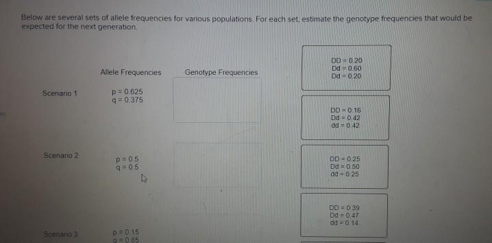 Solved Below are several sets of allele frequencies for | Chegg.com