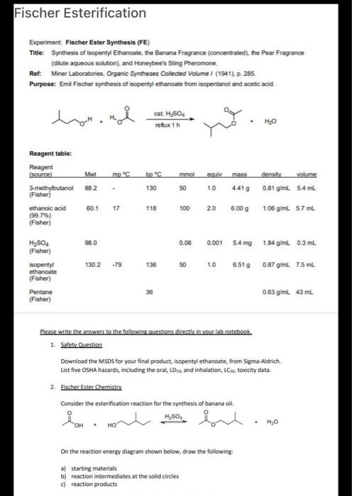 Solved Fischer Esterification Experiment: Fischer Ester | Chegg.com
