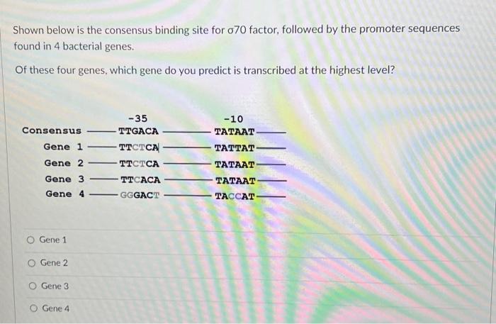 Solved Shown below is the consensus binding site for σ70 | Chegg.com