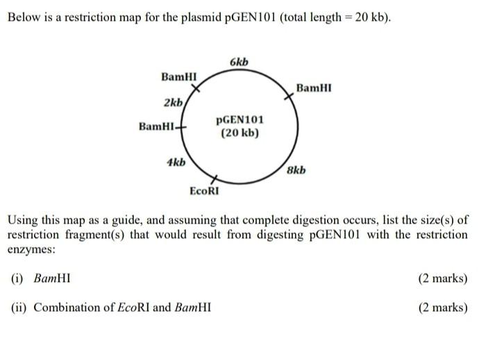 Solved Below is a restriction map for the plasmid PGEN101 | Chegg.com