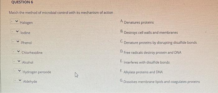 Solved Match the method of microbial control with its | Chegg.com
