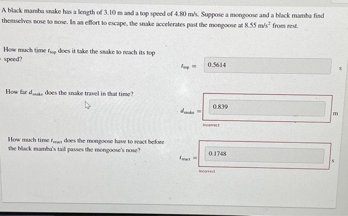 Solved A black mamba snake has a length of 3.10 m and a top | Chegg.com