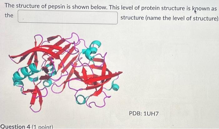 Solved The structure of pepsin is shown below. This level of | Chegg.com