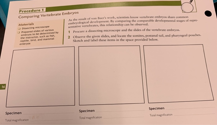 Solved Procedure 1 Comparing Vertebrate Embryos he result of | Chegg.com