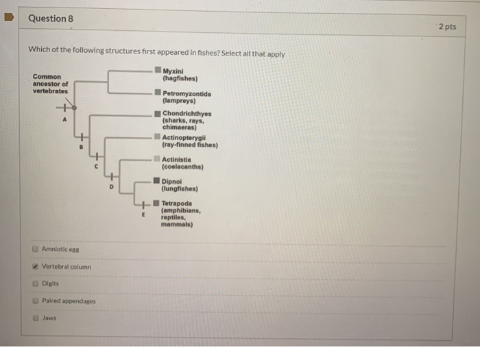Solved Question 8 2 pts Which of the following structures | Chegg.com