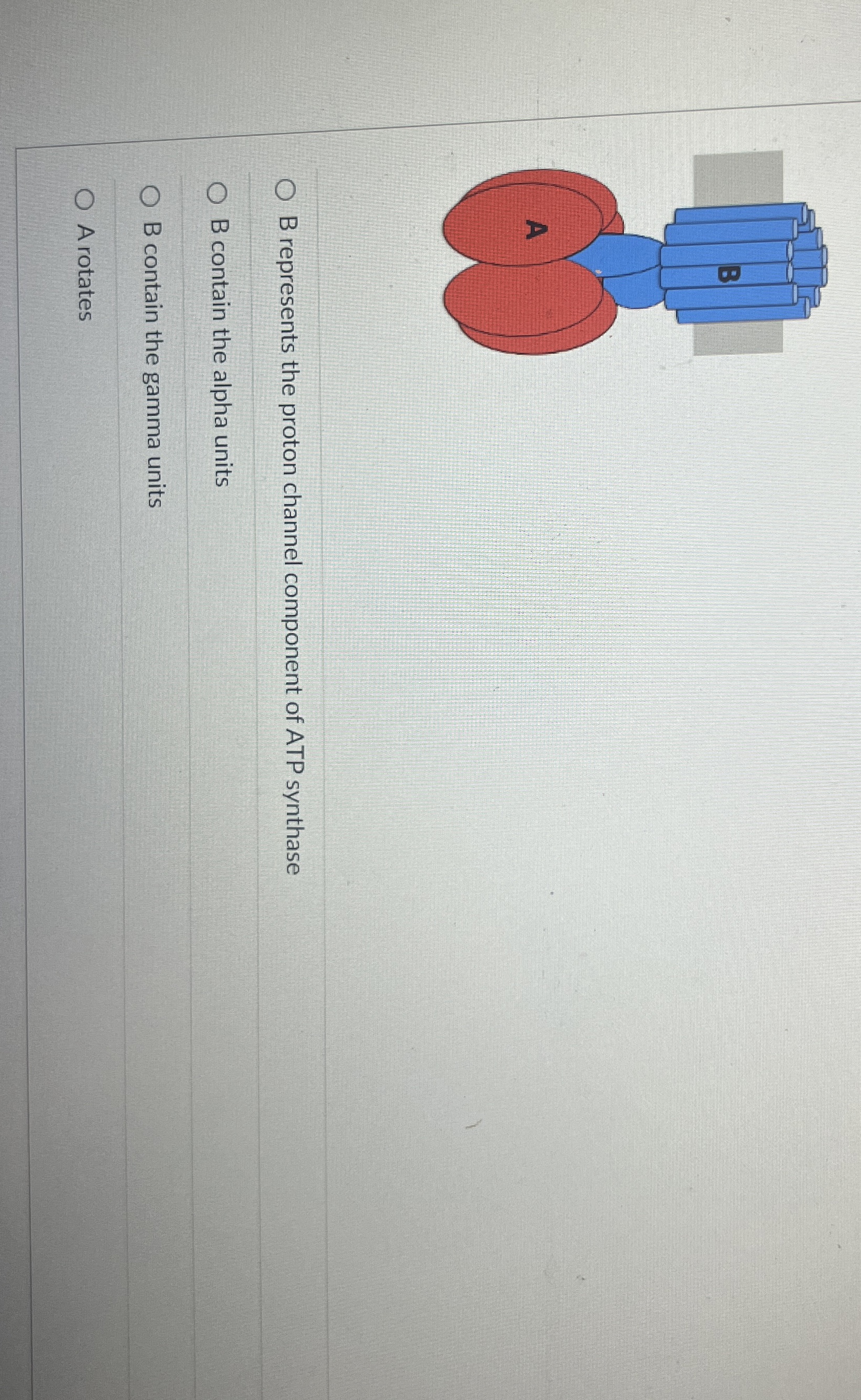 Solved B represents the proton channel component of ATP | Chegg.com