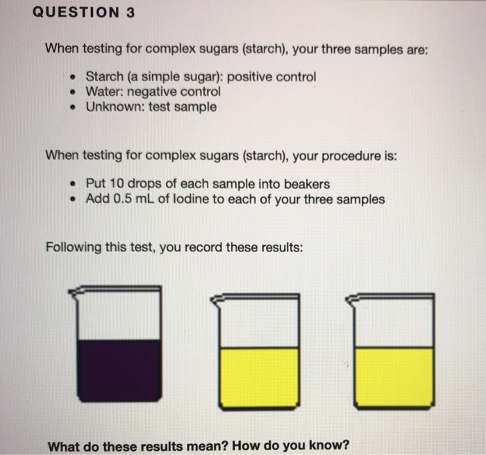 Solved QUESTION 3 When testing for complex sugars (starch), | Chegg.com