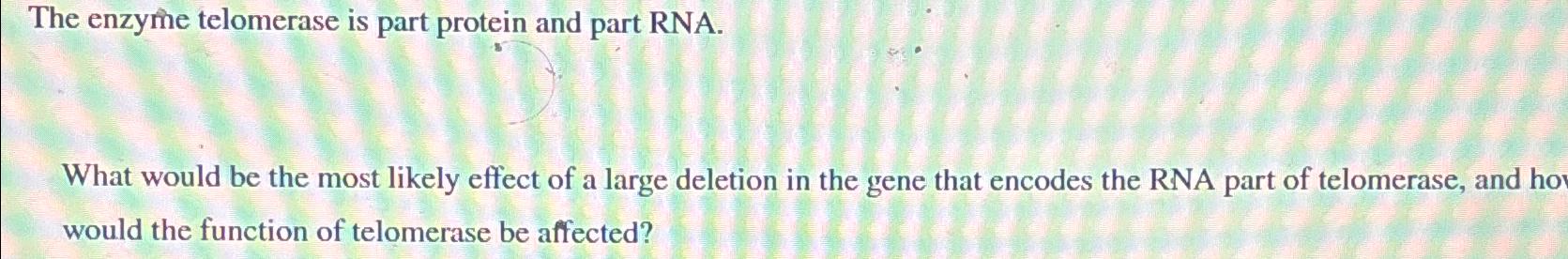 Solved The enzyme telomerase is part protein and part | Chegg.com Solved The enzyme telomerase is part protein and part | Chegg.com