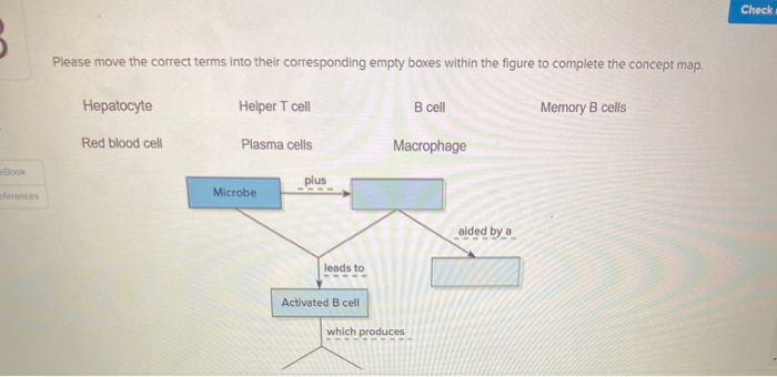 Solved Check Please move the correct terms into their | Chegg.com
