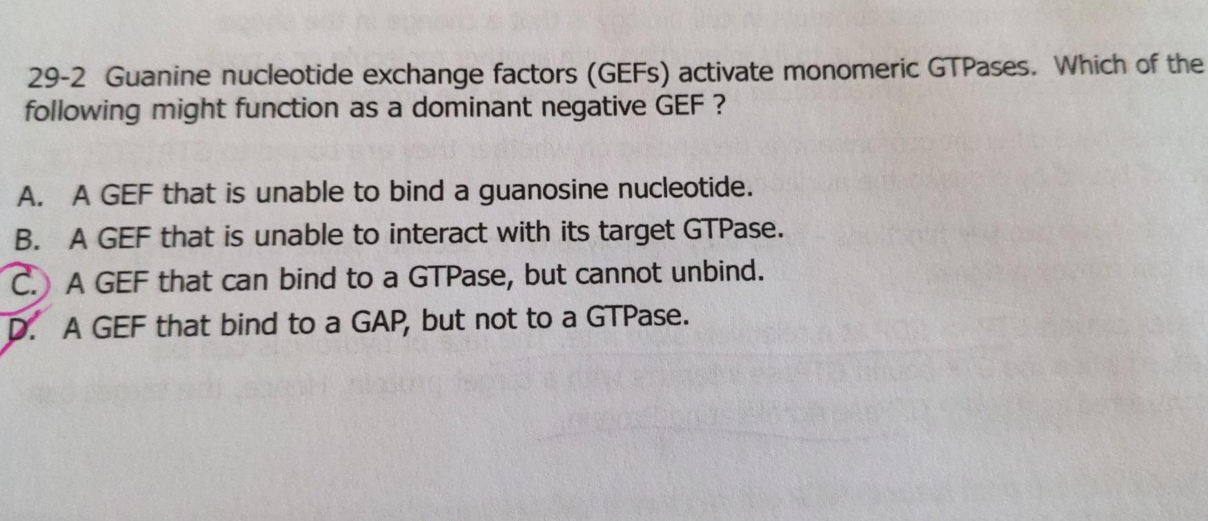 Solved guanine nucleotide exchange factors (GEFs) | Chegg.com