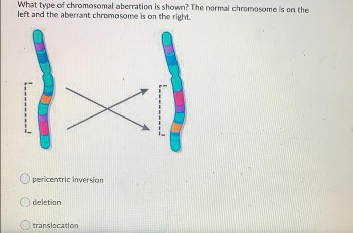 [Solved]: other options include deletion and translocation&n