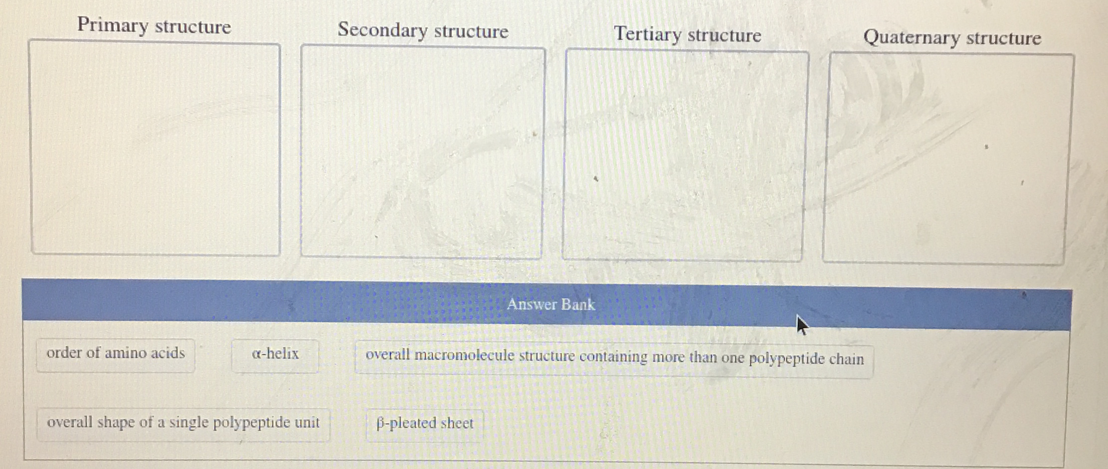 Solved Primary structureSecondary structureTertiary | Chegg.com