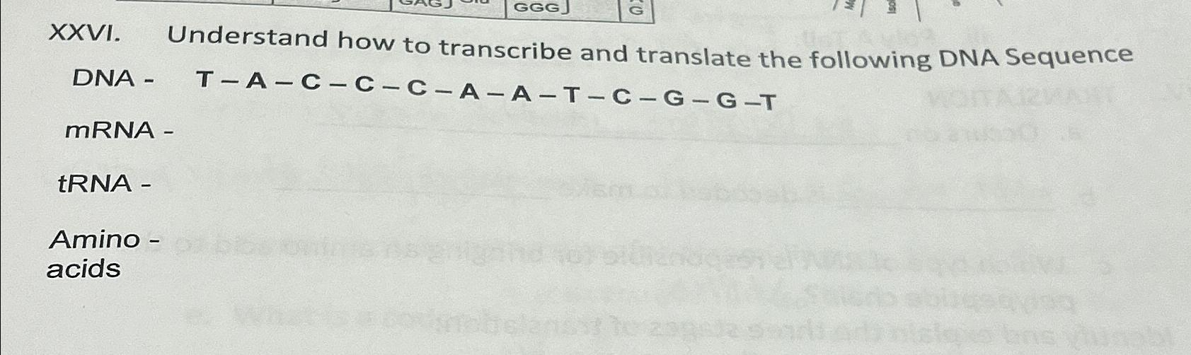 Solved XXVI. Understand how to transcribe and translate the | Chegg.com