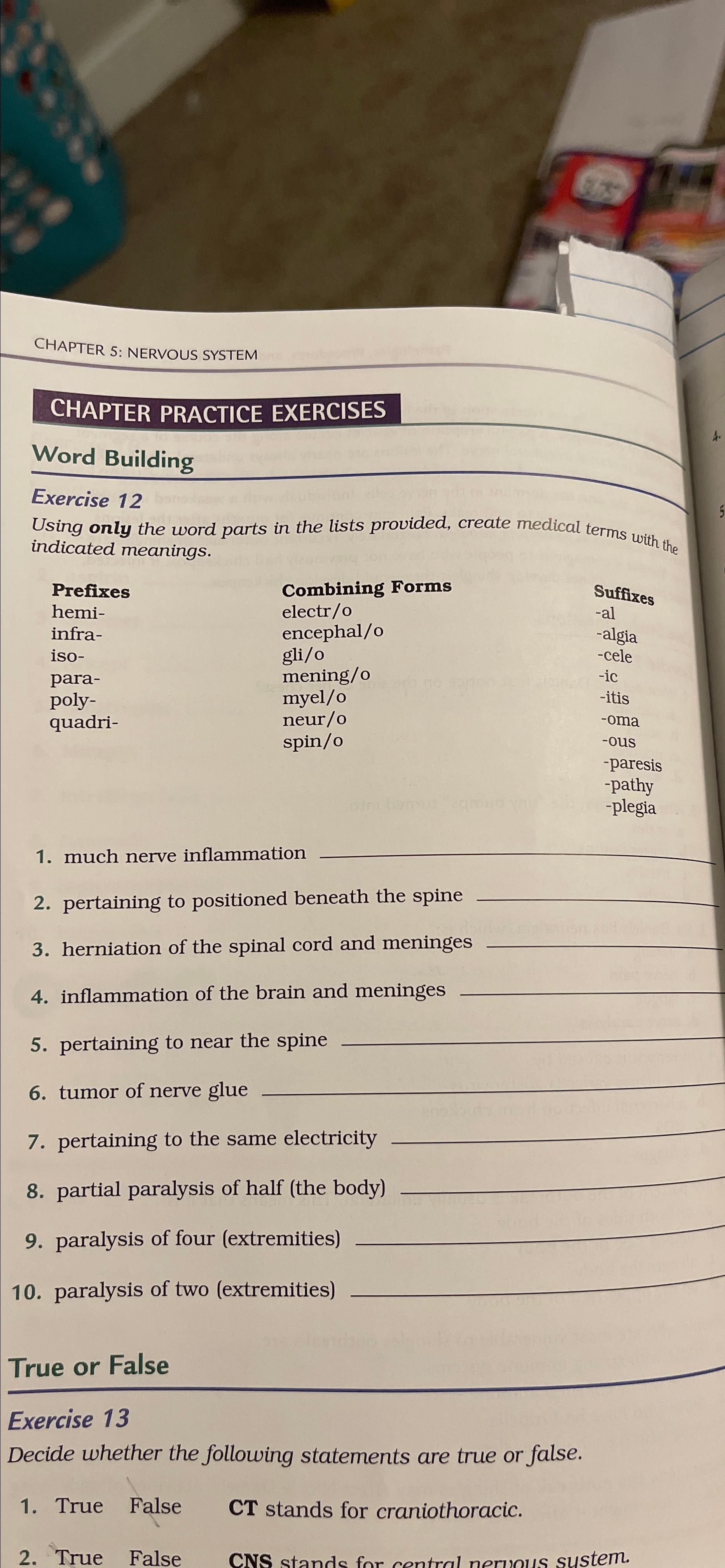 Solved CHAPTER 5: NERVOUS SYSTEMCHAPTER PRACTICE | Chegg.com