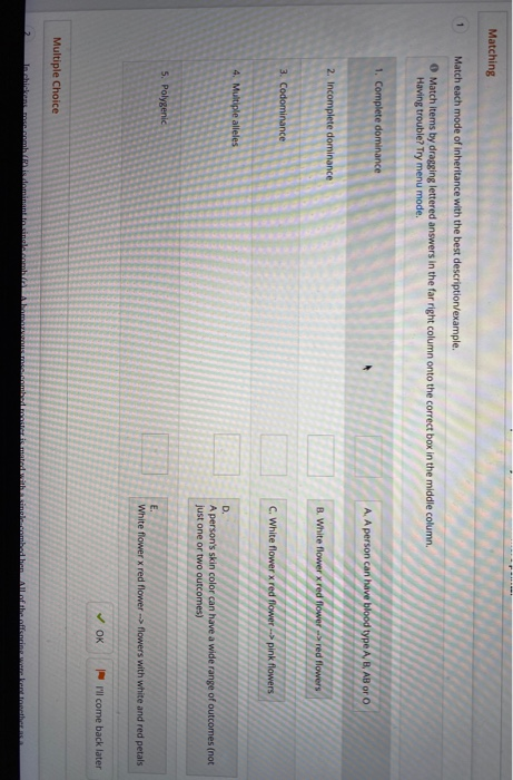 Solved Matching 1 Match each mode of inheritance with the | Chegg.com