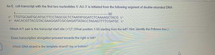 Solved An E. coli transcript with the first two nucleotides | Chegg.com
