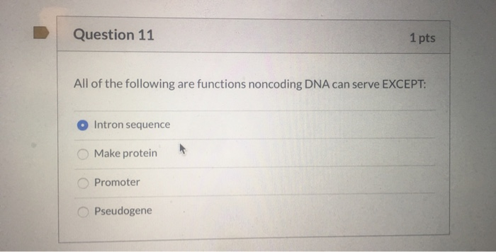Solved all of the following are functions noncoding DNA can | Chegg.com