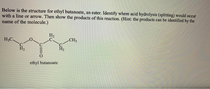 Solved Below is the structure for ethyl butanoate, an ester. | Chegg.com