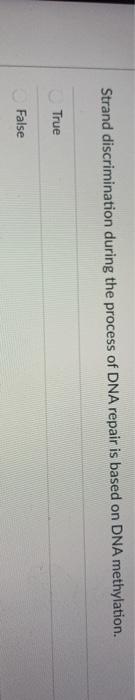 Solved Strand discrimination during the process of DNA | Chegg.com