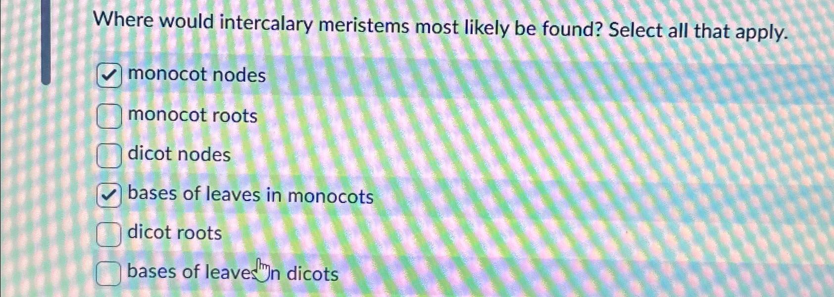 Solved Where would intercalary meristems most likely be | Chegg.com