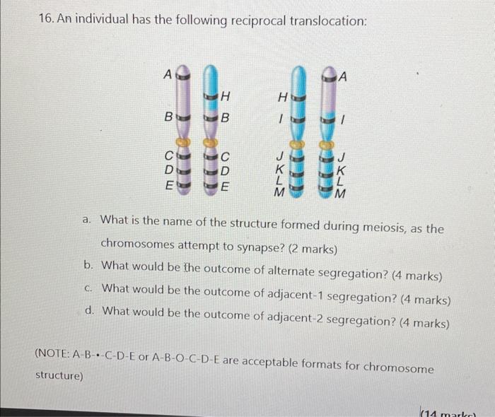 16. An individual has the following reciprocal | Chegg.com
