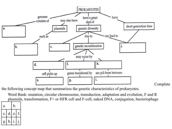 Solved INTERACTIVE QUESTION 13.3 Complete the following | Chegg.com