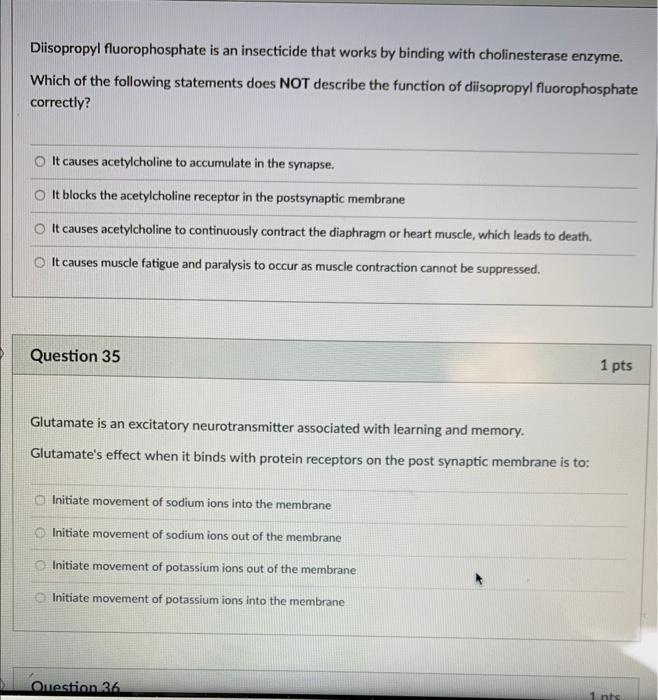 Solved Match the labelled synapse structure with the correct | Chegg.com