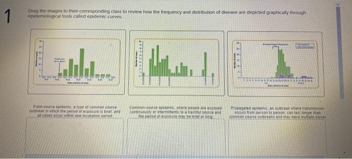 Solved 1 Drag the images to their corresponding class to | Chegg.com