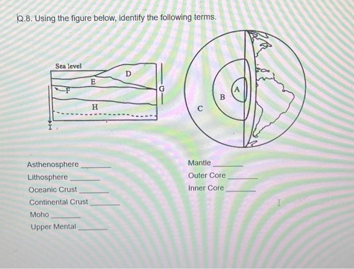 Solved Q.8. Using the figure below, identify the following | Chegg.com