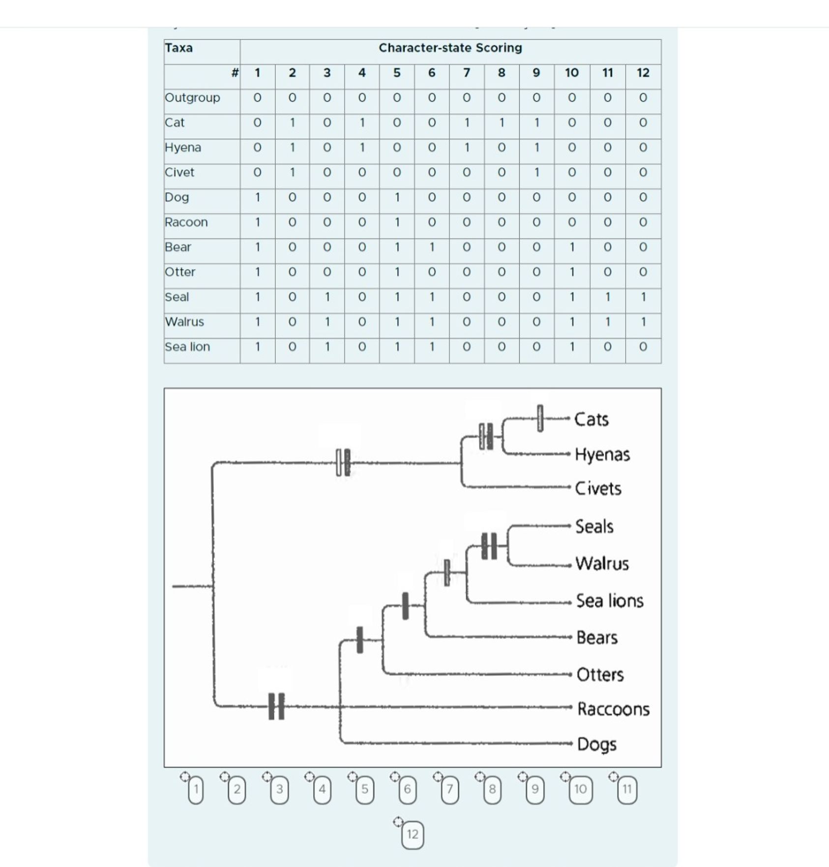 Solved Building phylogenetic trees is not always | Chegg.com