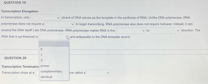 Solved ION 19 Transcription Elongation In Chegg