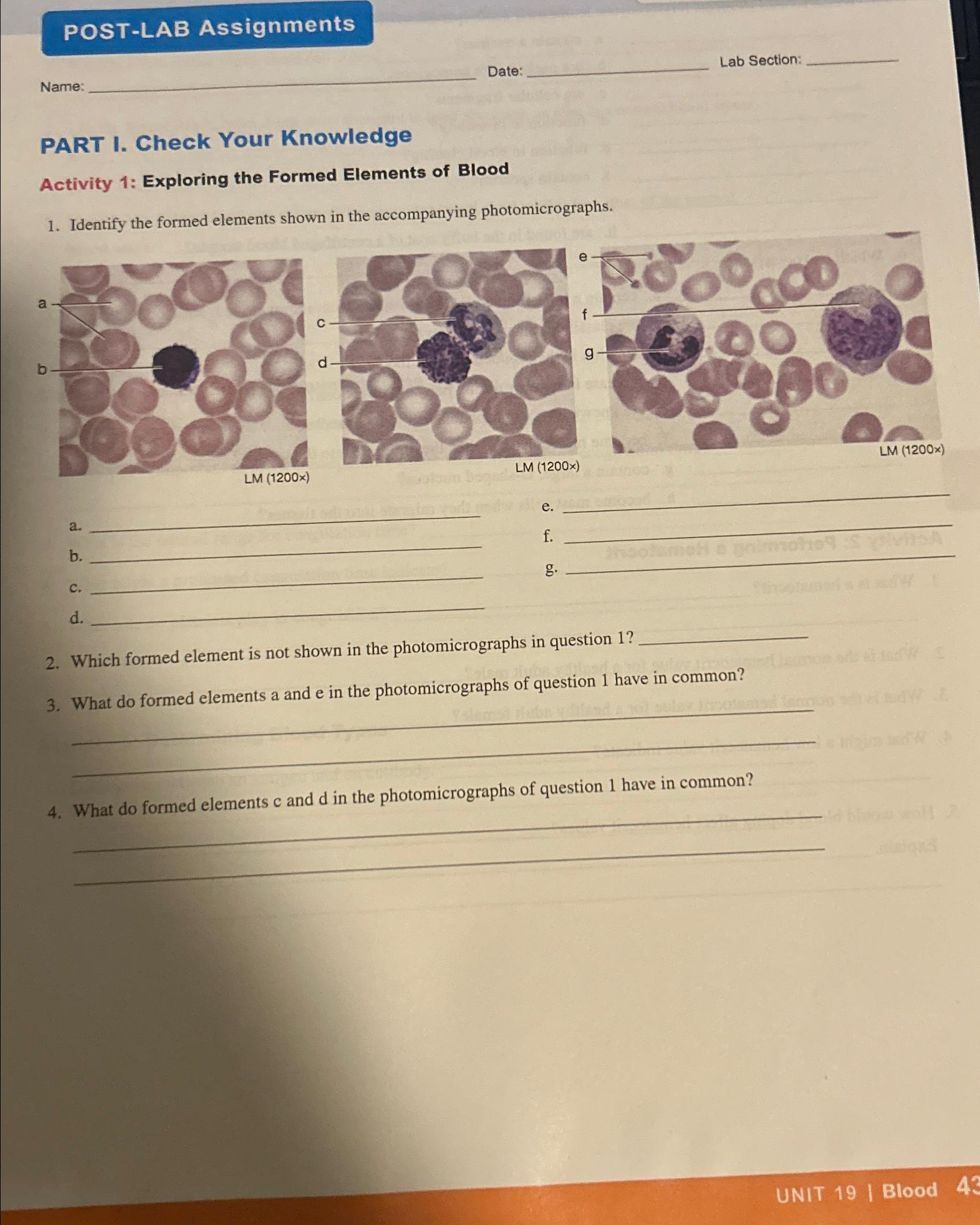 Solved POST-LAB AssignmentsName:Date:Lab Section:PART I. | Chegg.com Solved POST-LAB AssignmentsName:Date:Lab Section:PART I. | Chegg.com