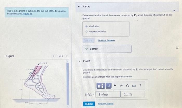 Solved The foot segment is subjected to the pull of the two | Chegg.com