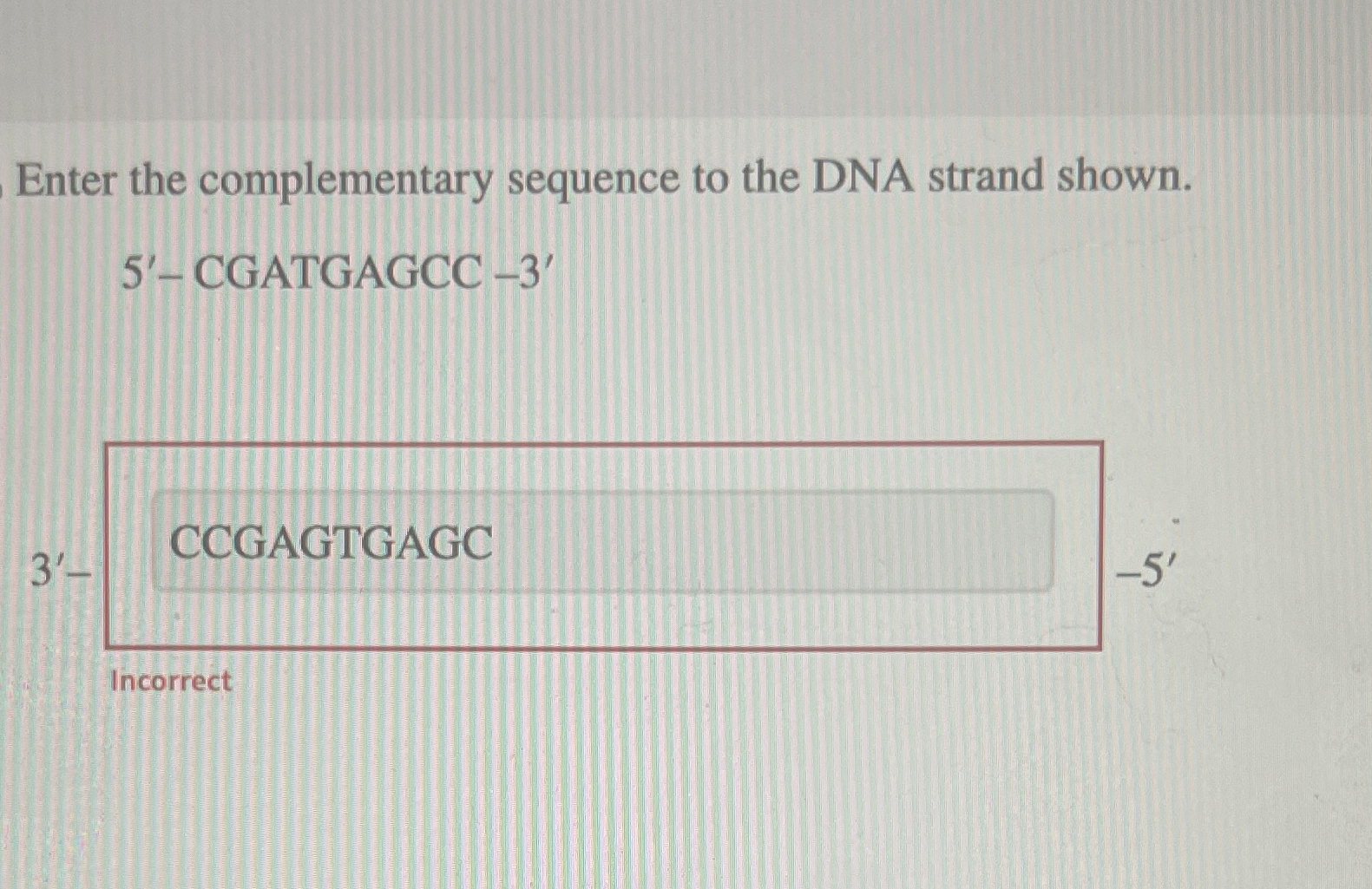 Solved Enter the complementary sequence to the DNA strand | Chegg.com