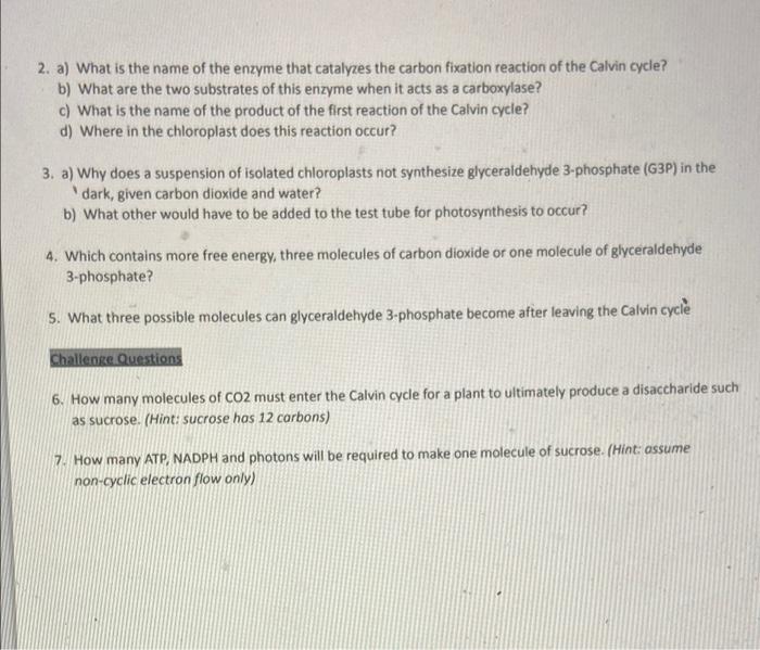 Solved Fill in the blanks in the diagram and answer the | Chegg.com