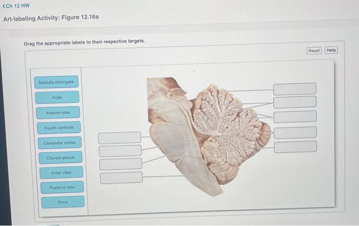 Solved Please make it clear. I'll rate (: | Chegg.com