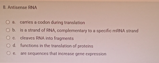 Solved Antisense RNAa. ﻿carries a codon during translationb. | Chegg.com
