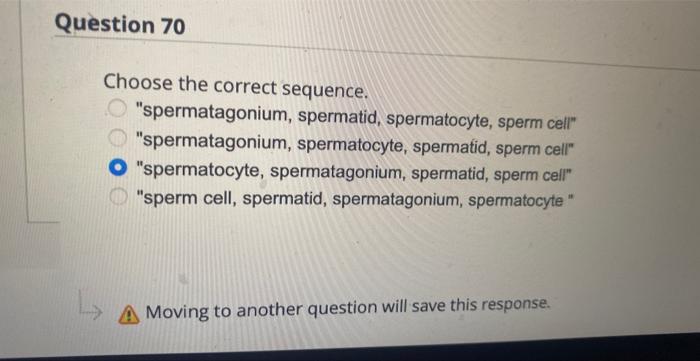Solved Choose the correct sequence. "spermatagonium, | Chegg.com